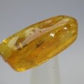 Amber Crystals