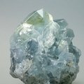 Celestite Crystals