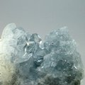 Celestite Crystals