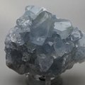 Celestite Crystals