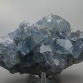 Celestite Crystals