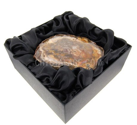 Fossil Gift Boxes