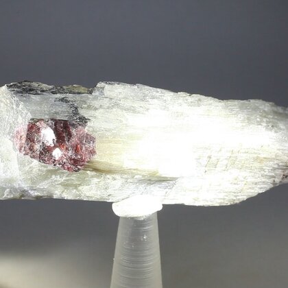 Eudialyte