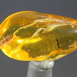 Amber Crystals
