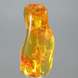 Amber Crystals