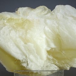 Calcite - Angel Wing Crystals