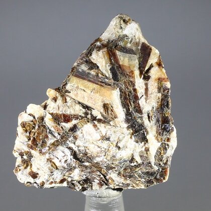 Astrophyllite