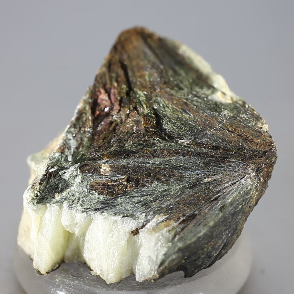 Astrophyllite