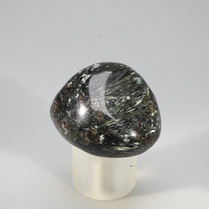 Astrophyllite
