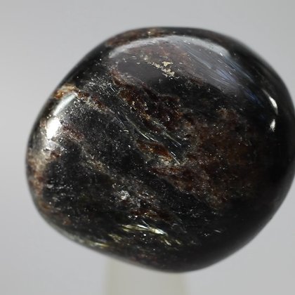 Astrophyllite
