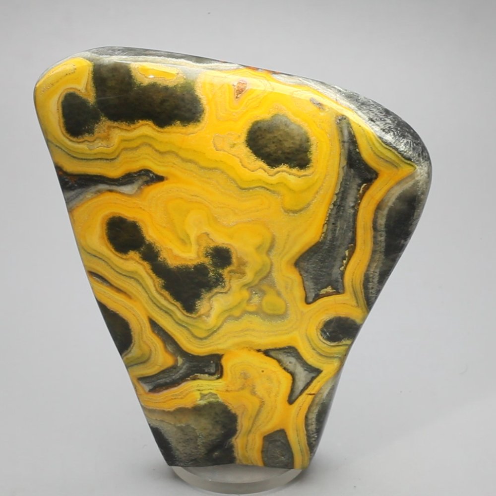 Bumble Bee Jasper