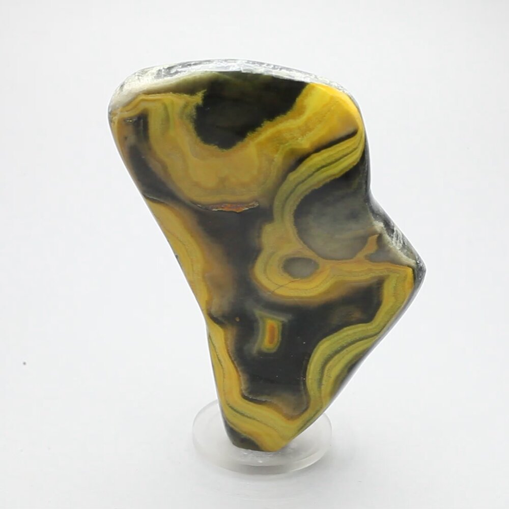 Bumble Bee Jasper