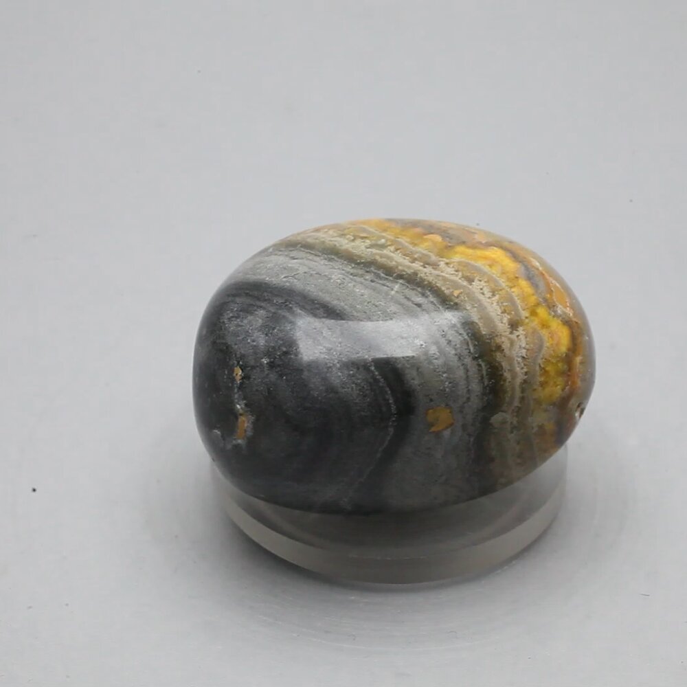 Bumble Bee Jasper