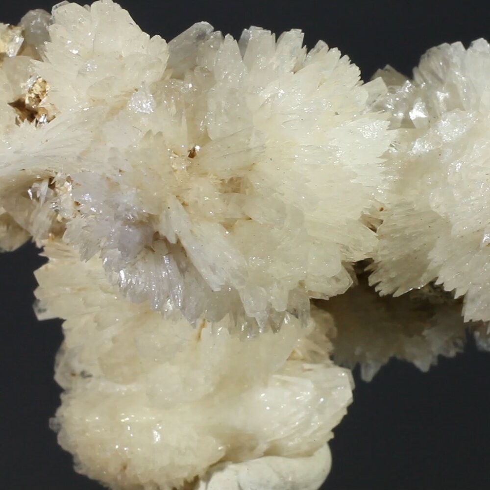 Colemanite