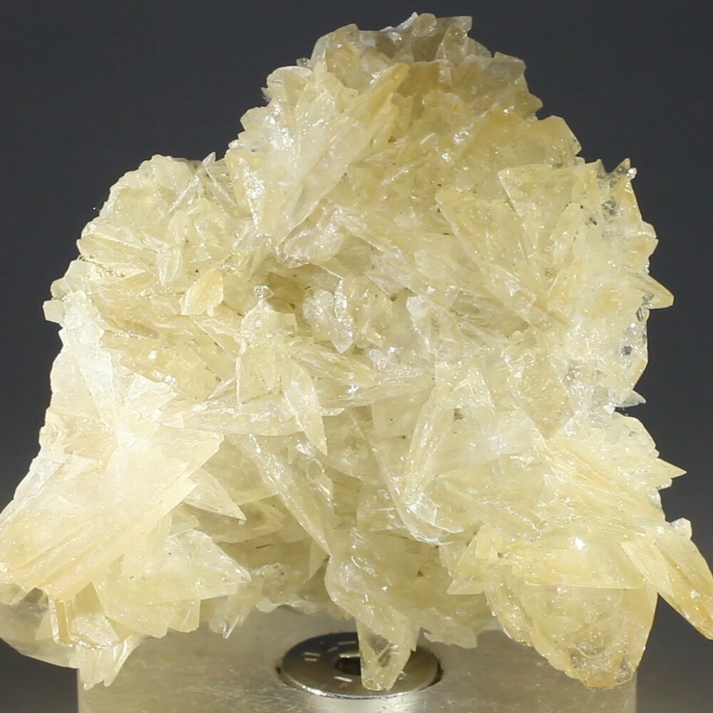 Colemanite