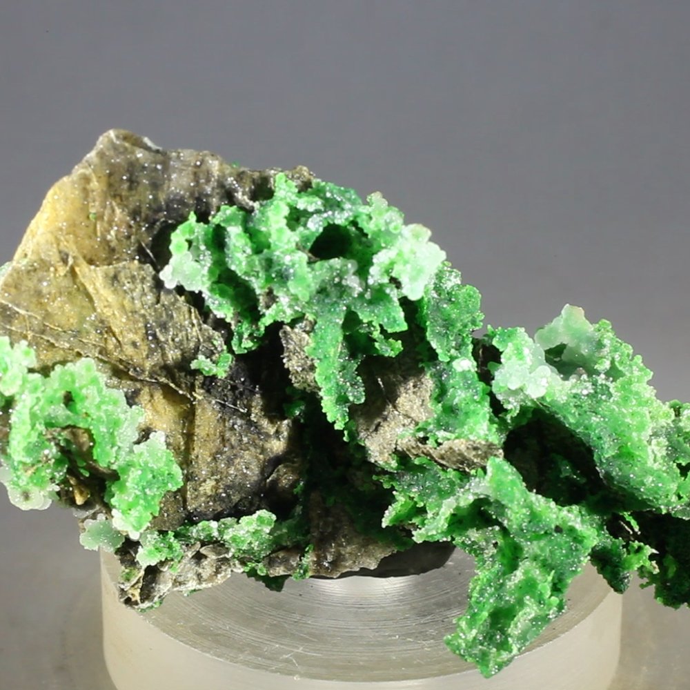 Conichalcite