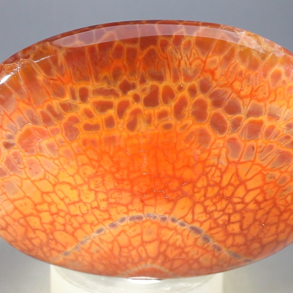 Fire Agate Palm Stones