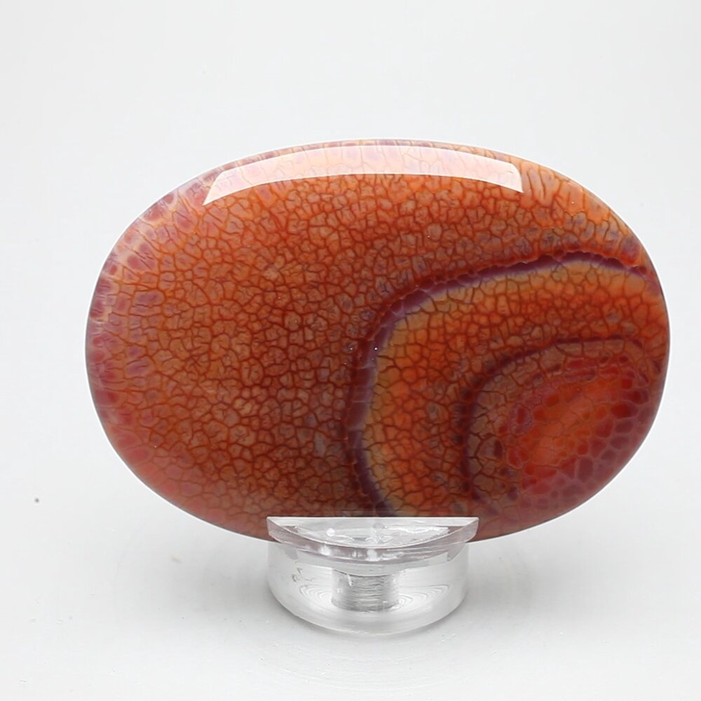 Fire Agate Palm Stones