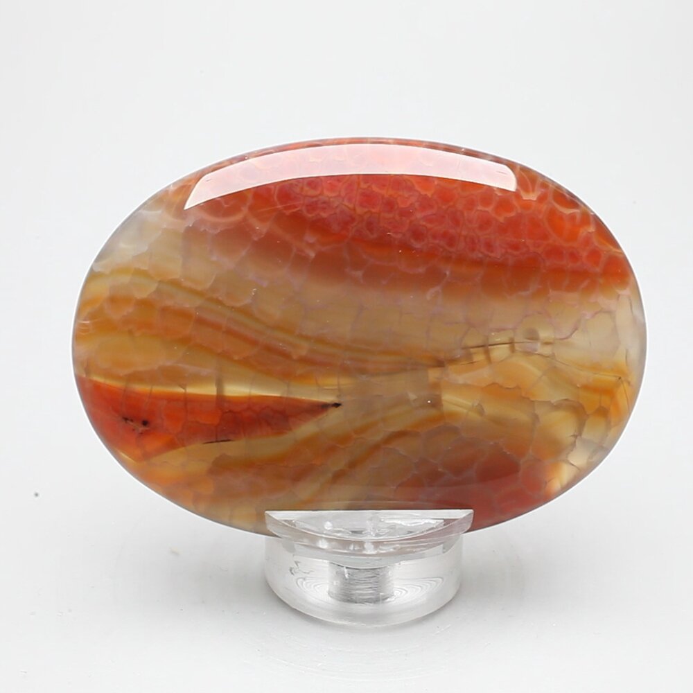 Fire Agate Palm Stones