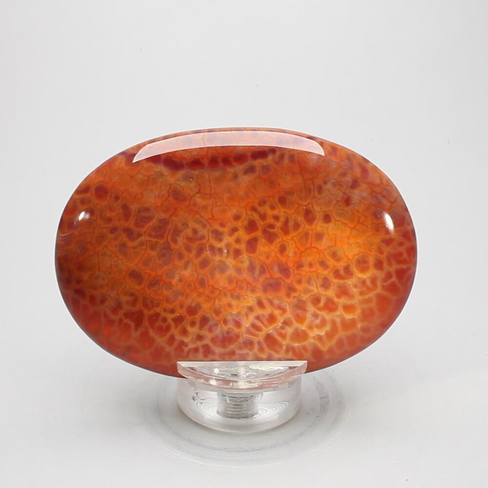 Fire Agate Palm Stones