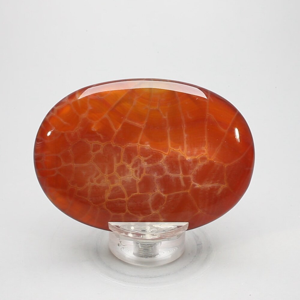 Fire Agate Palm Stones