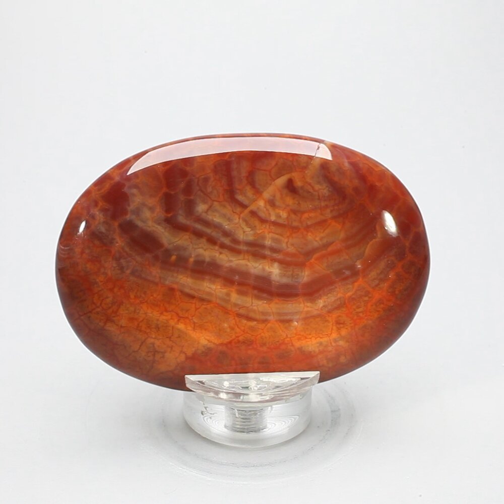 Fire Agate Palm Stones