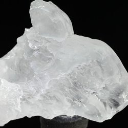 Fishtail Gypsum Healing Crystal ~65mm