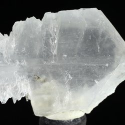 Fishtail Gypsum Healing Crystal ~65mm