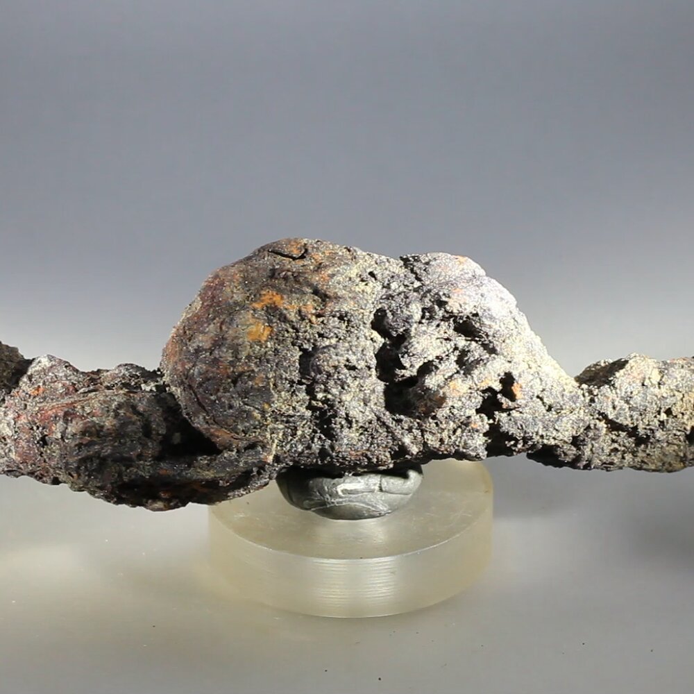 Miscellaneous Fossils