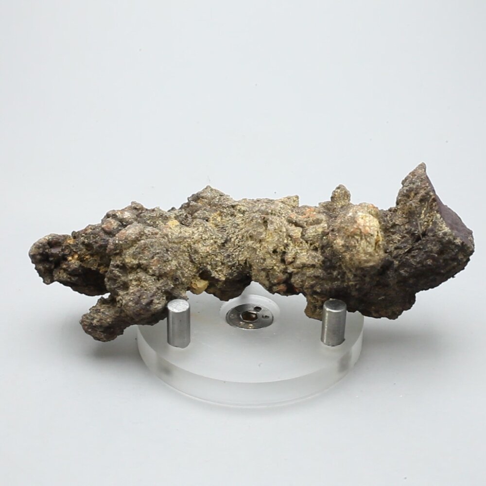 Miscellaneous Fossils