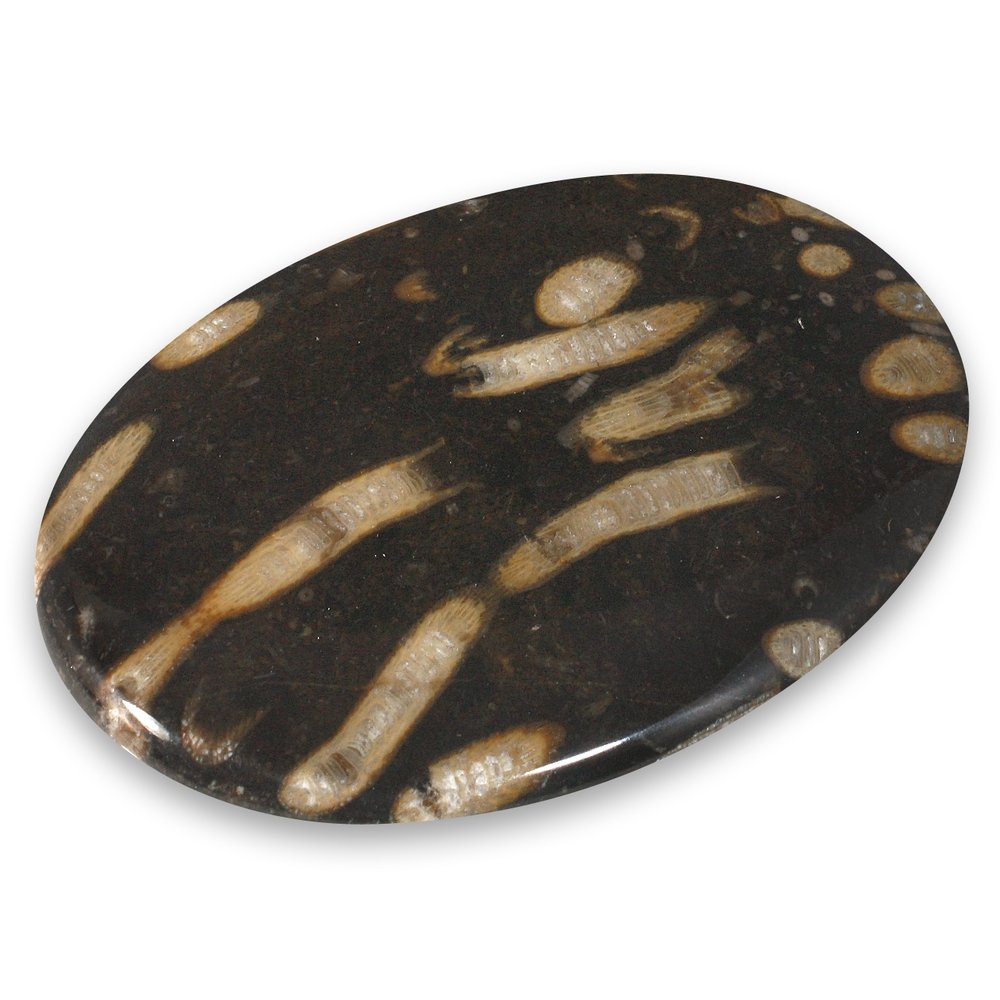 Frosterley Marble Palm Stones