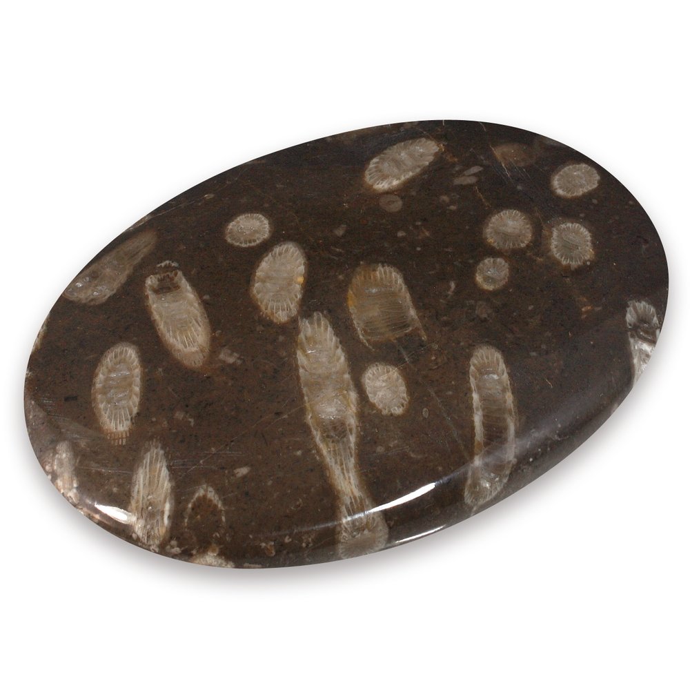 Frosterley Marble Palm Stones