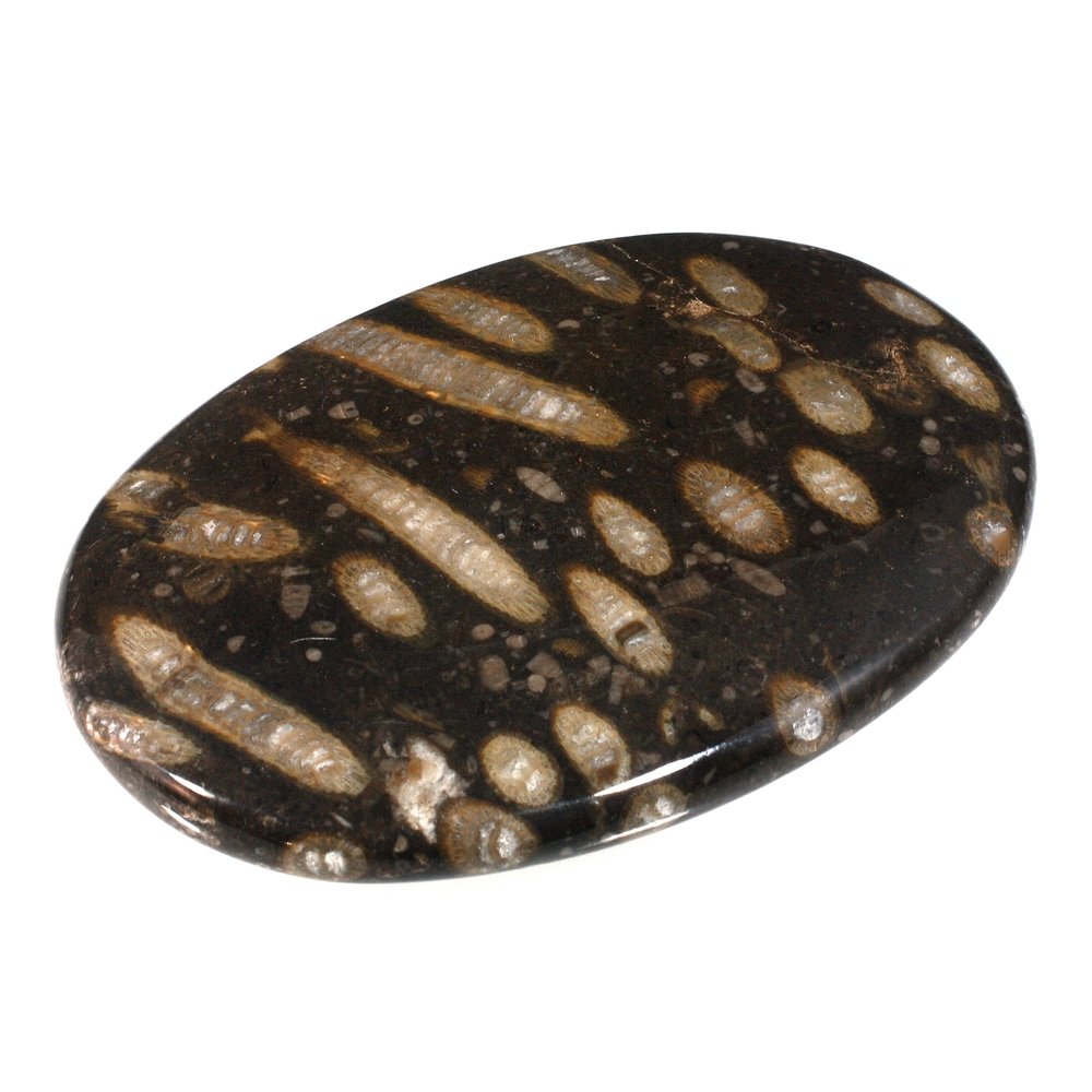 Frosterley Marble Palm Stones