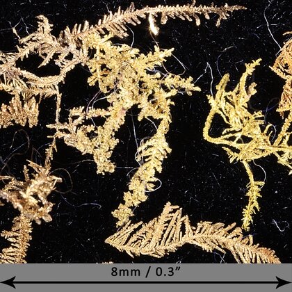 Gold