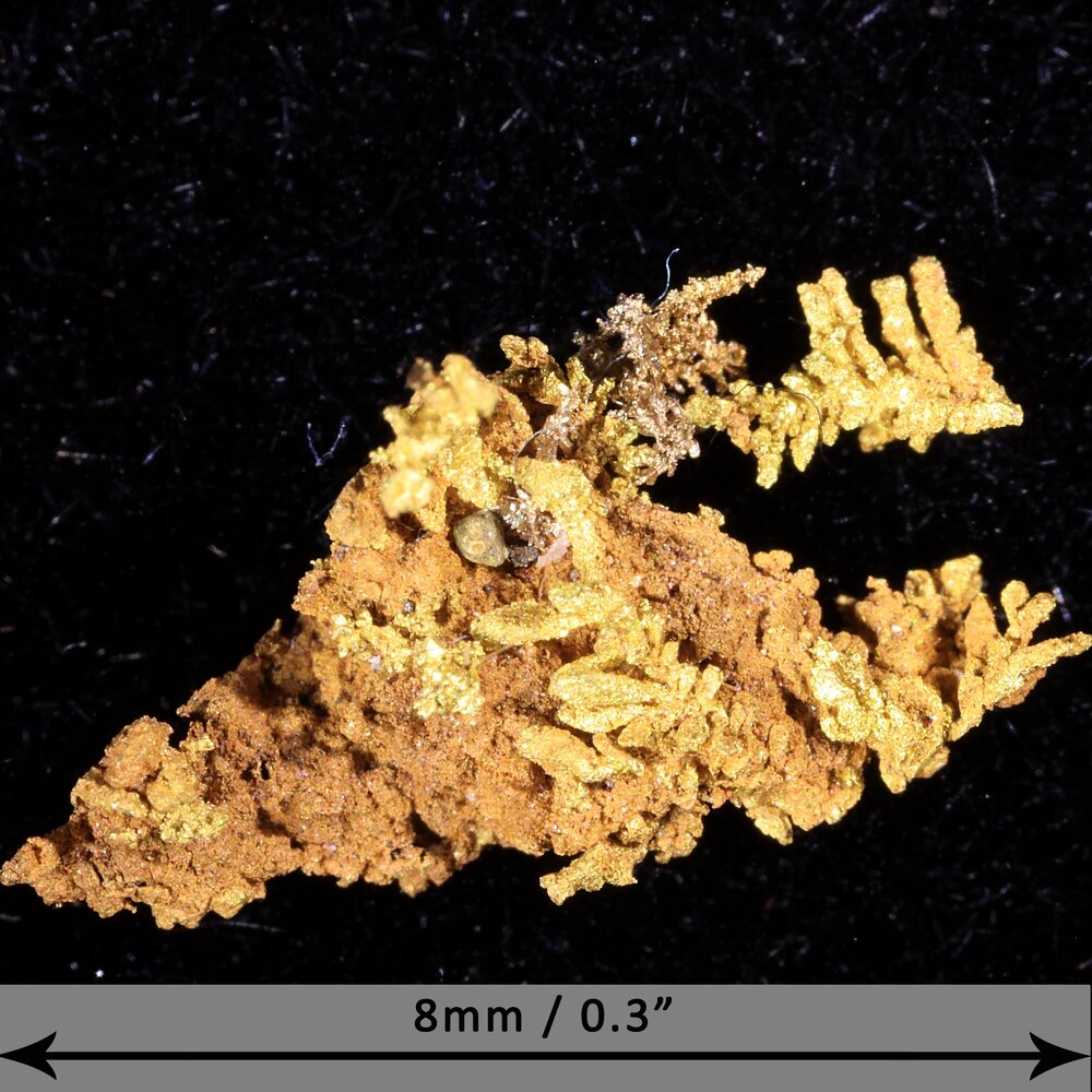 Gold Crystal - Micro Specimen
