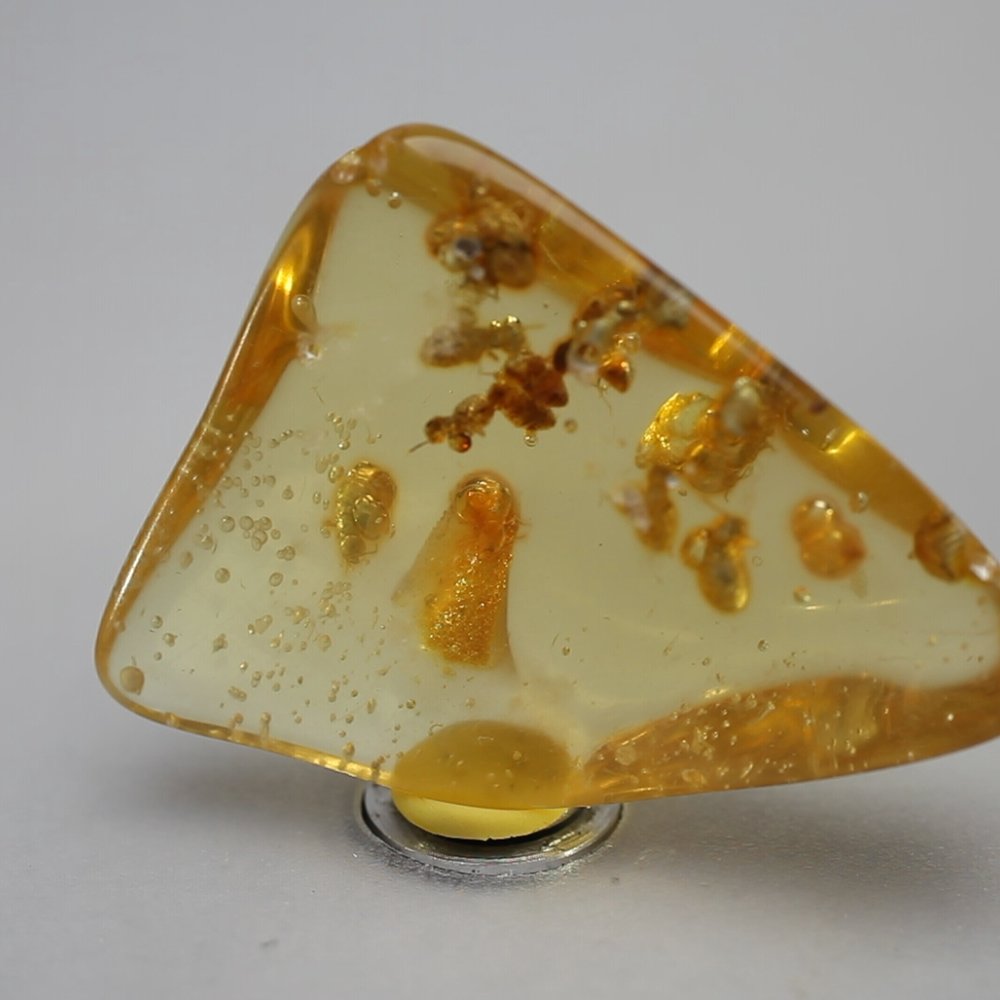 Amber Fossils