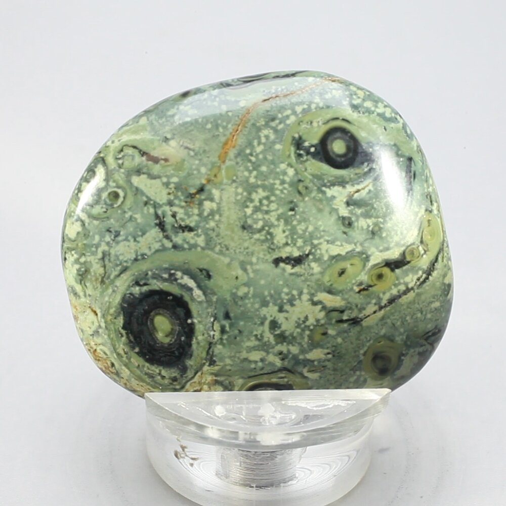 Kambaba Jasper