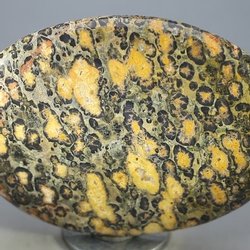 Leopard Skin Palm Stones