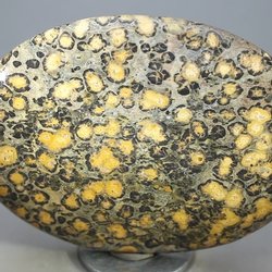 Leopard Skin Palm Stones