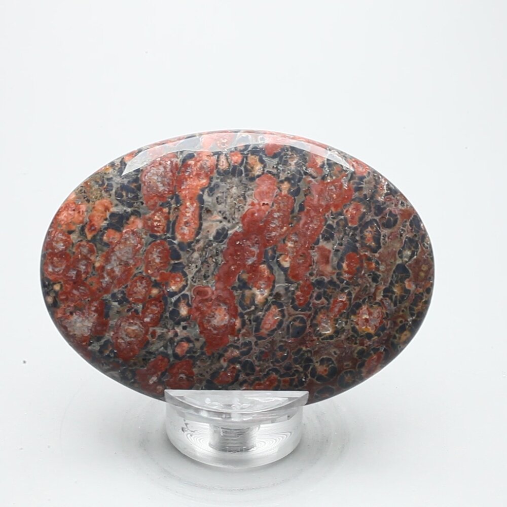 Leopard Skin Palm Stones