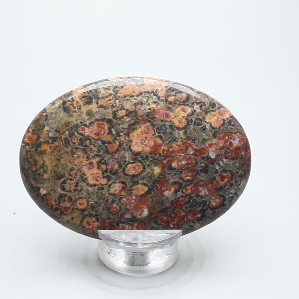 Leopard Skin Palm Stones
