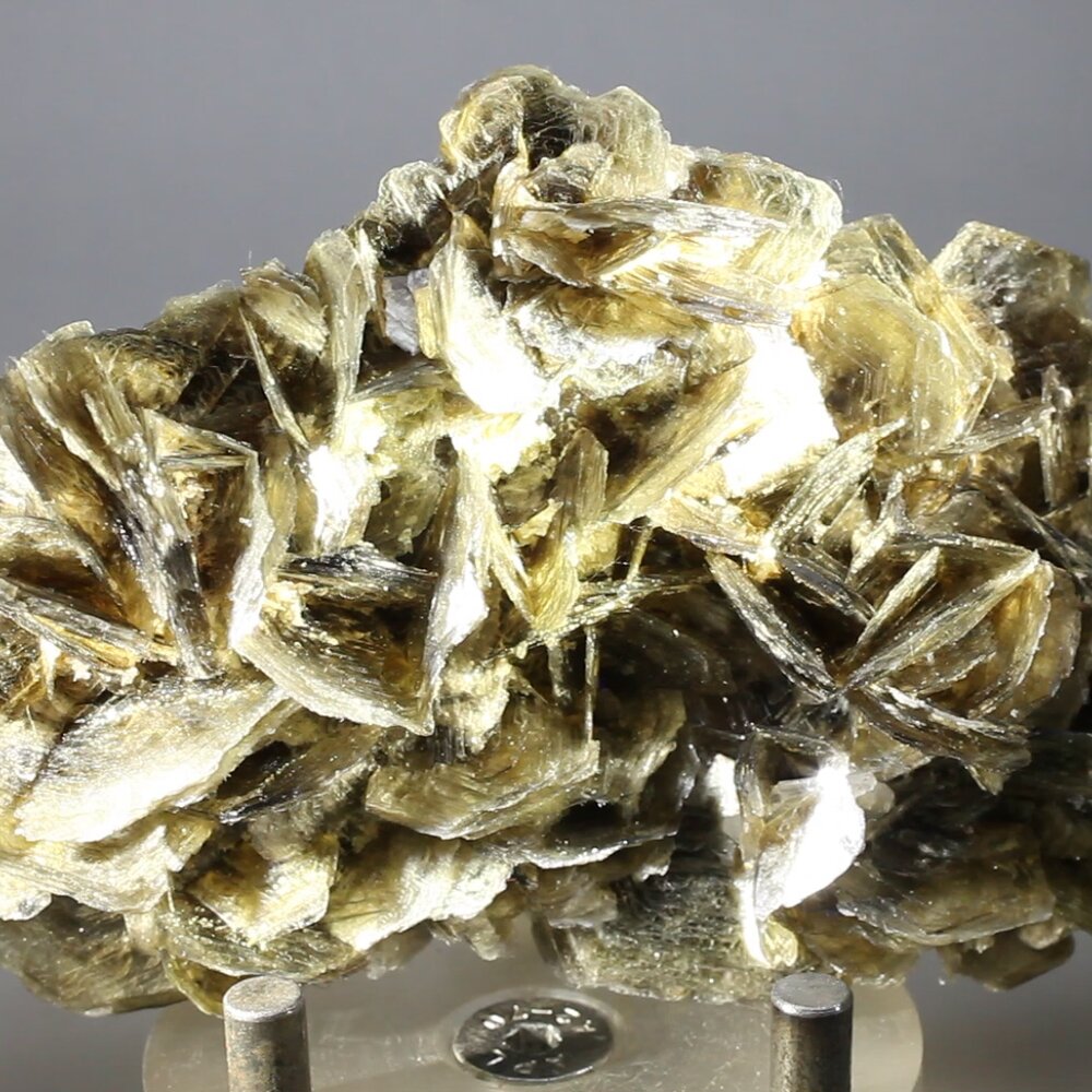 Muscovite