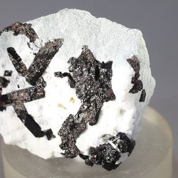 Neptunite Healing Mineral ~40mm