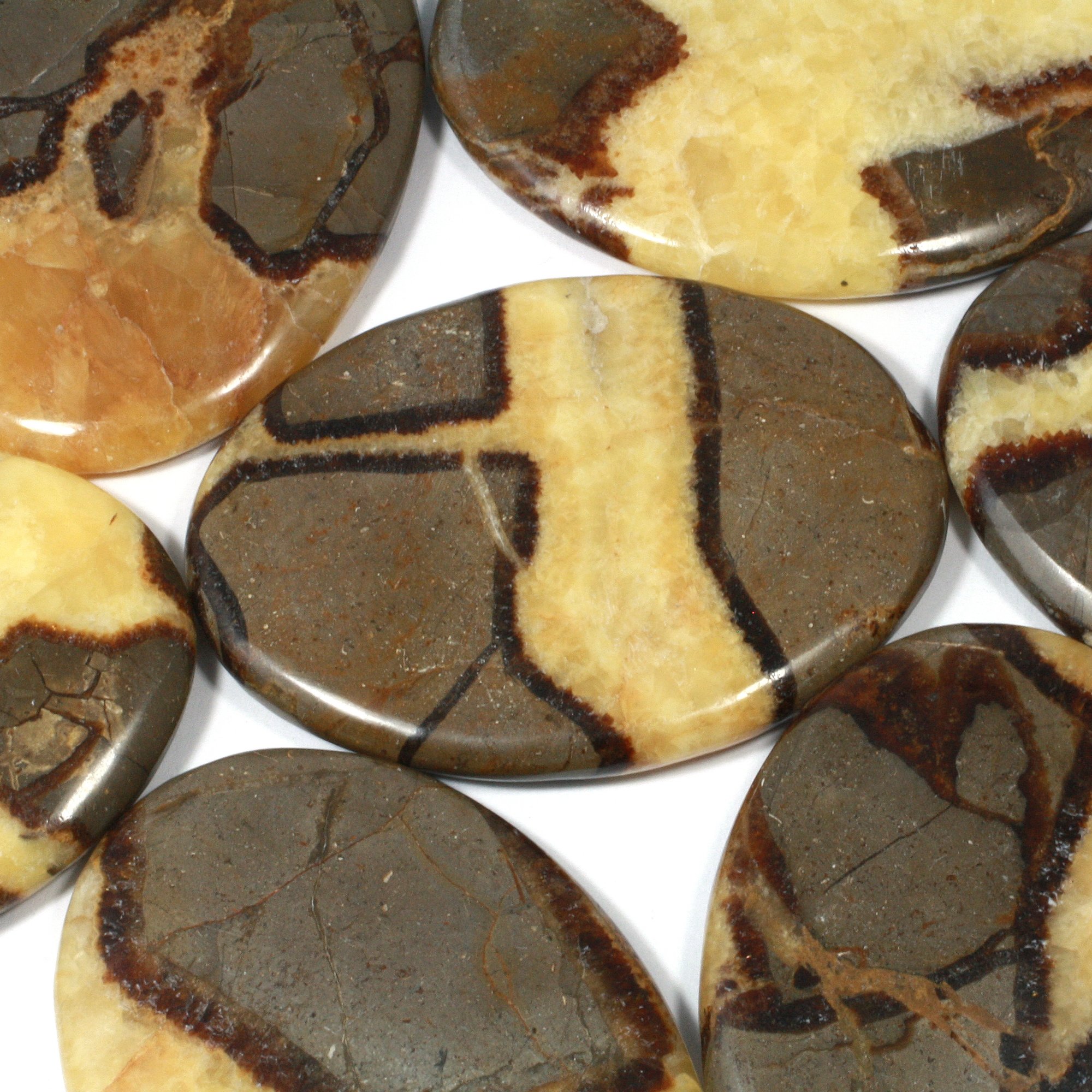 Septarian Crystals