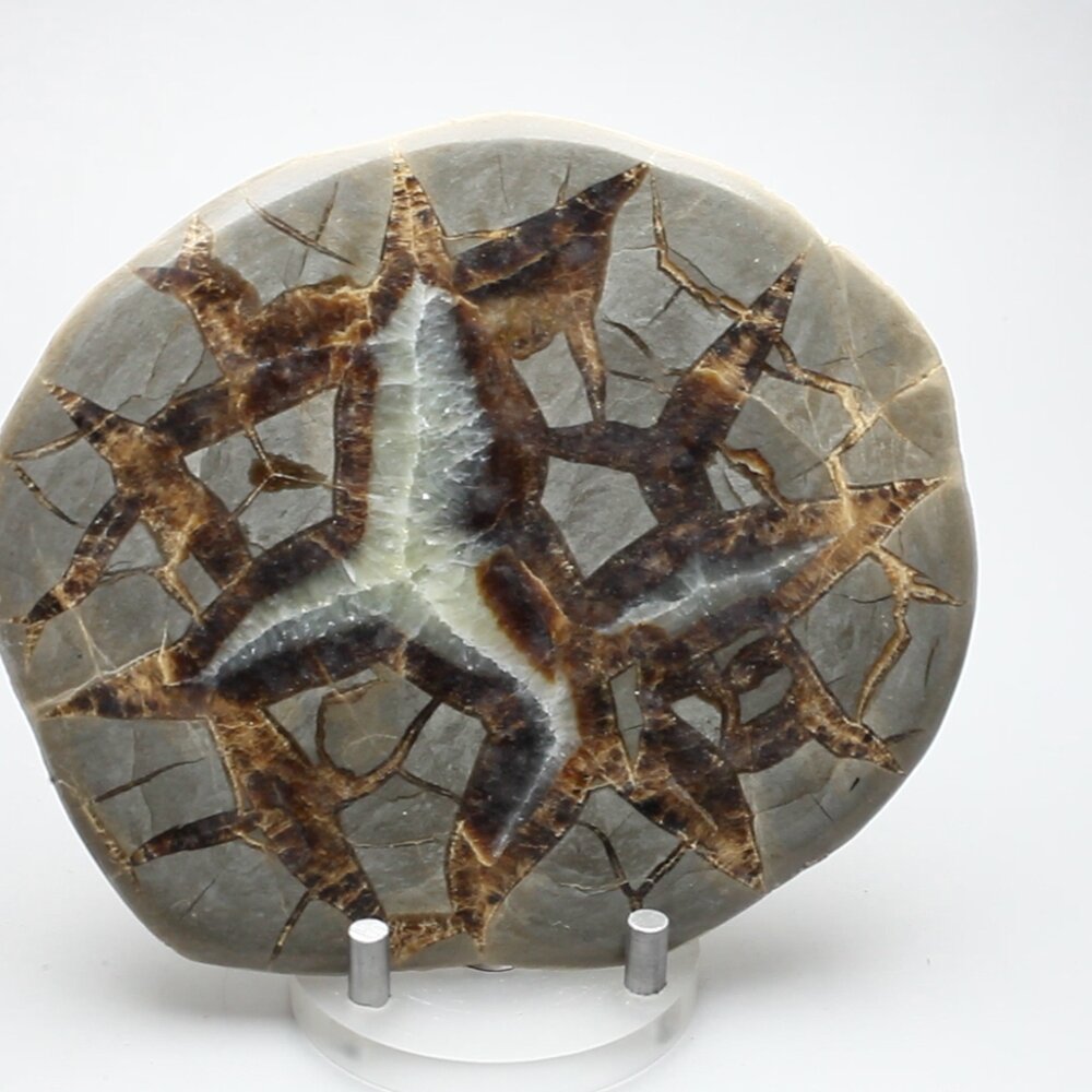 Septarian