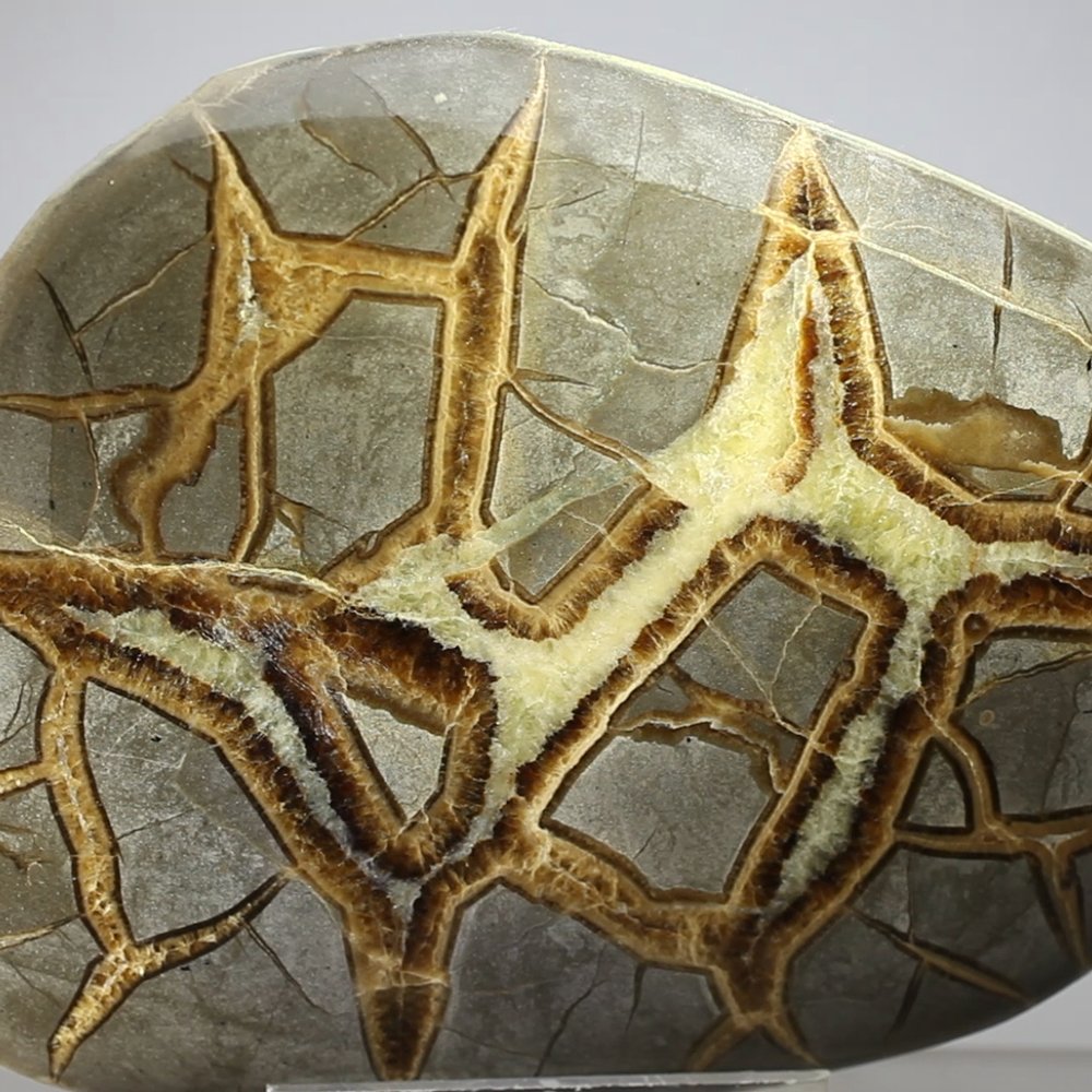 Septarian