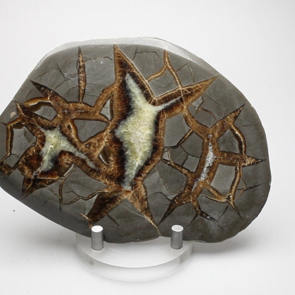 Septarian