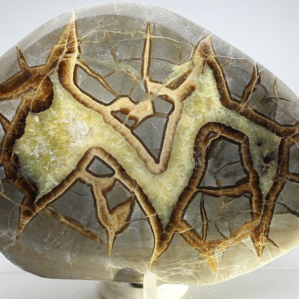 Septarian