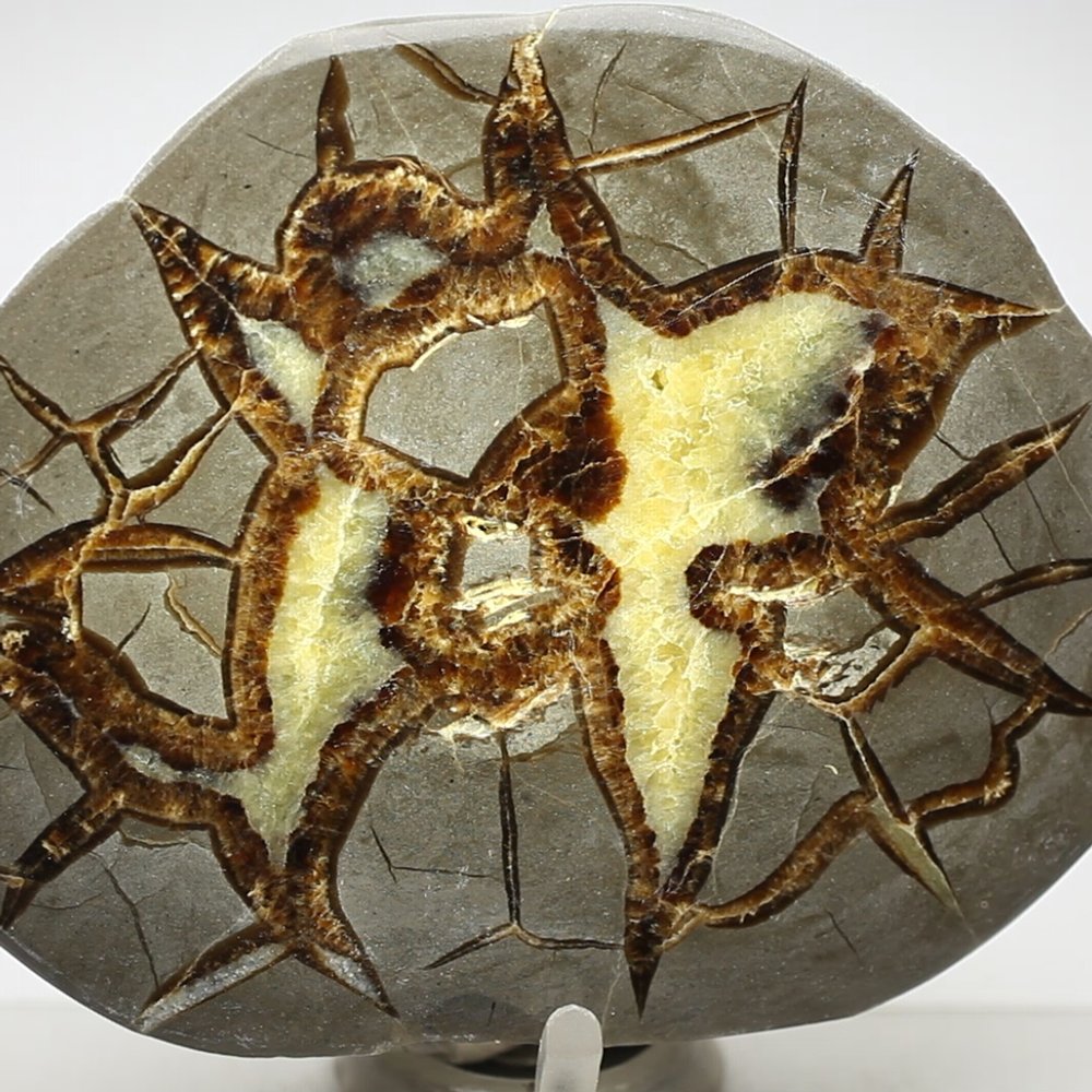 Septarian