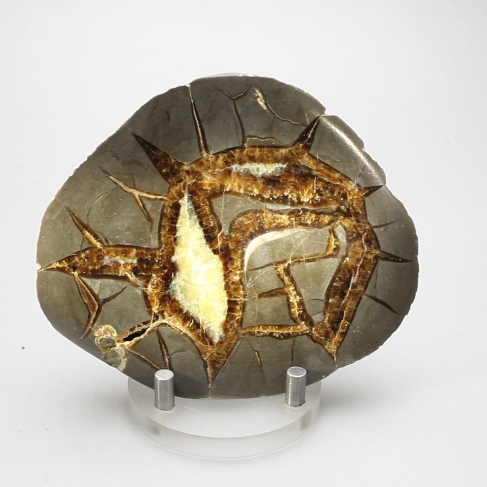 Septarian